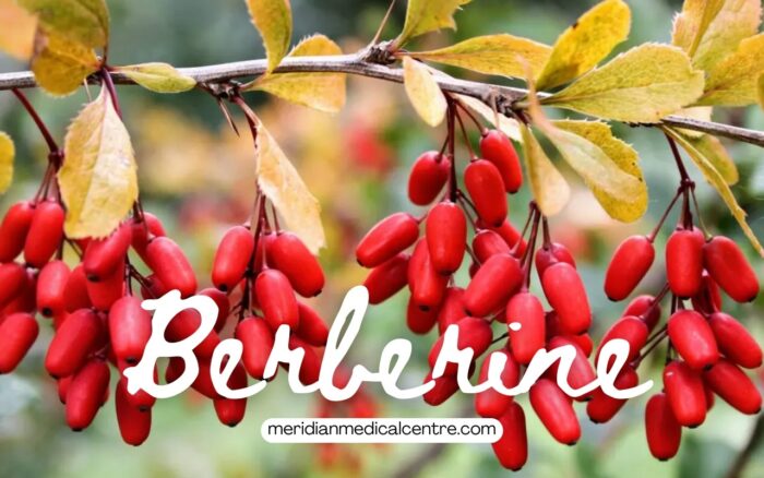Berberine Benefits: What Clinical Research Reveals About This Natural ...