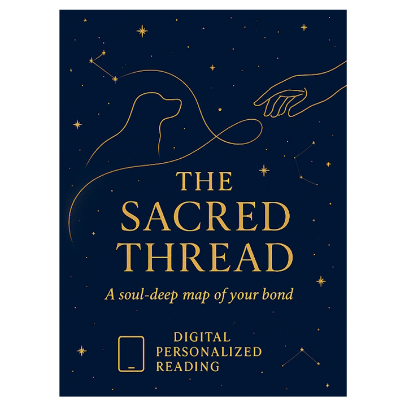 Sacred Thread
