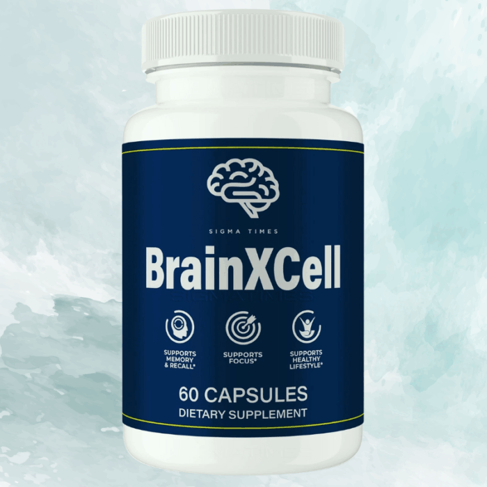 BrainXCell